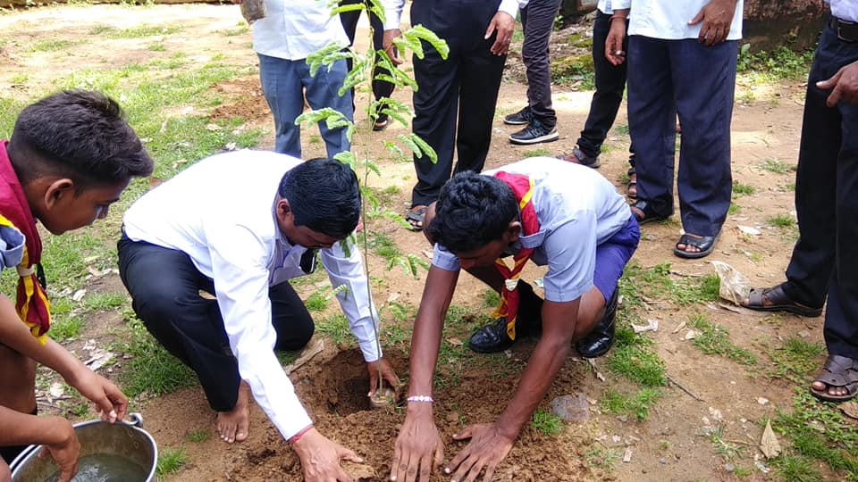 GGS Plantation Programs for save green environment – GAON GATHANA SAMITI